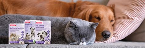 Beaphar No Stress: for a relaxed dog and cat - Beaphar