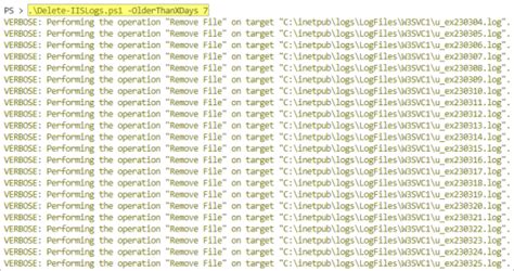 How To Clear IIS Logs On Windows Server To TheITBros