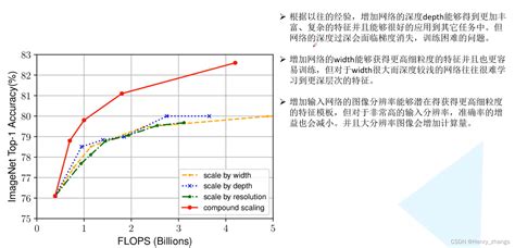 efficientnet 分类花数据集 花卉数据集 csdn博客