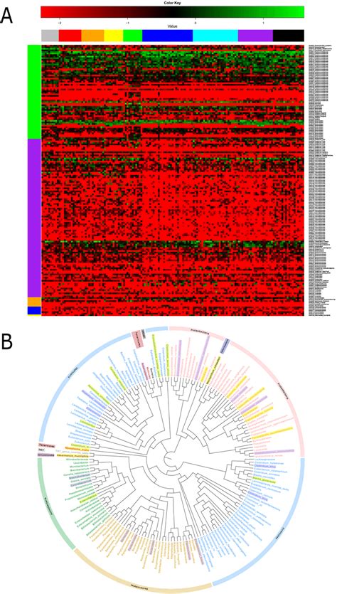 Heatmap And Phylogenetic Tree Of Significant Differential Otus A