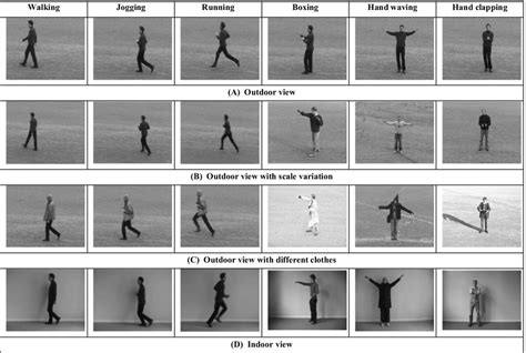 Examples Of Different Activities In The Kth Dataset 40 Download