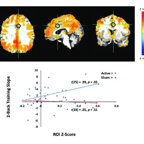 Resting State Fmri Rsfmri Activity Correlates With Behavior Download Scientific Diagram