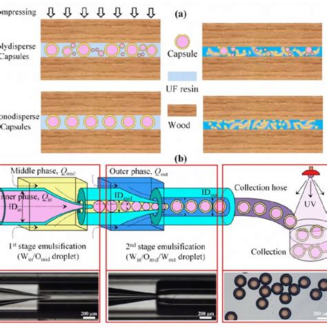 Pdf Microfluidic Assisted Fabrication Of Monodisperse Core Shell Microcapsules For Pressure