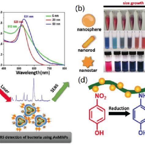 Surface Biofunctionalization And Biomedical Application Of Aunps