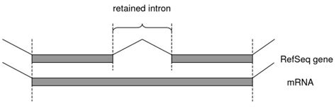 Definition Of Scored Intron Retention Events Gray Rectangles Represent