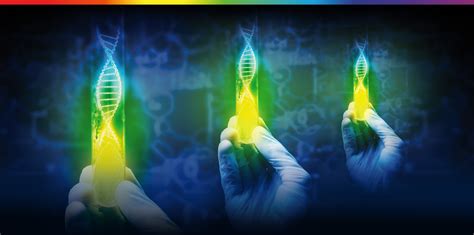 Greenquant Dsdna Kit High Selective Fluorescent Quantitation