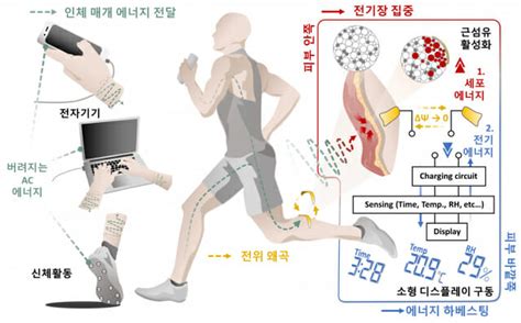 휴대폰 손에 쥐기만 해도전기자극 치료·웨어러블 기기 충전 동시에