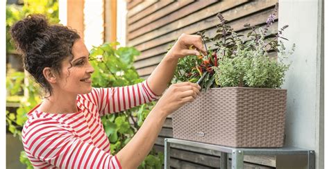 Lechuza reveals 2021 launches - Garden Centre Retail