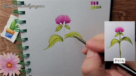 다이소 스케치북에 수채화 천일홍 한송이 그리기 다이소 수채화일러스트 Watercolor Youtube