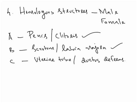 Which Of The Following Structures Are Homologous To One
