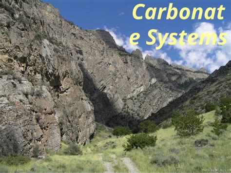 Ppt Carbonate Depositional Systems Pdfslide Net