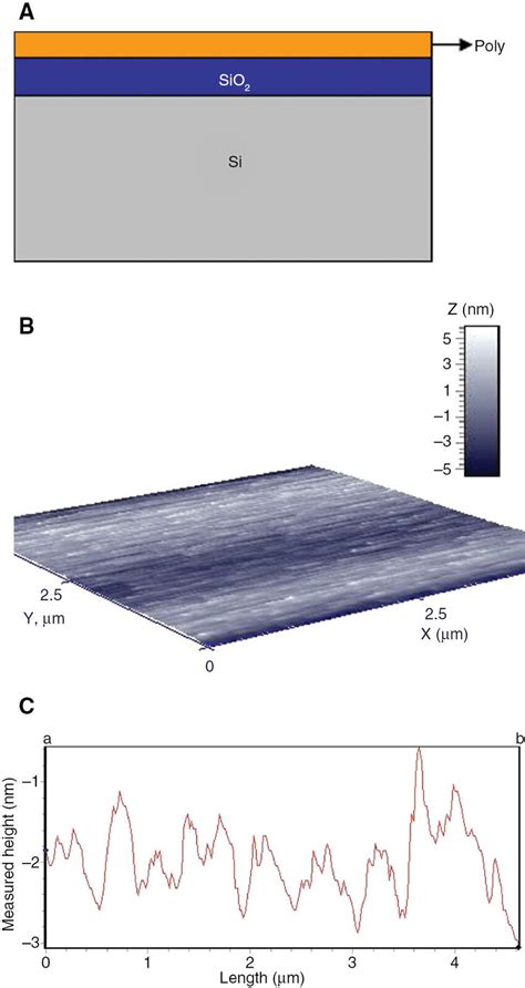 Silicon Samples Measured During Validation Of The Model A Cross