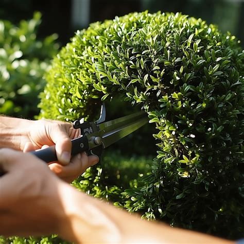 Hands Holding Scissors For Cutting Bushes And Grass Premium Ai Generated Image