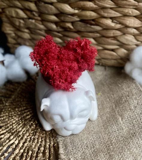 Кашпо «песик з мохом — ціна 350 грн у каталозі Кашпо Купити товари для дому та побуту за