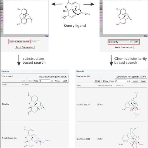 searching glass database for ligands using either the substructure