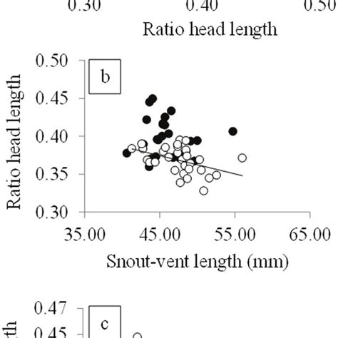 Linear Regressions For Morphological Traits Of Male Black Circles And