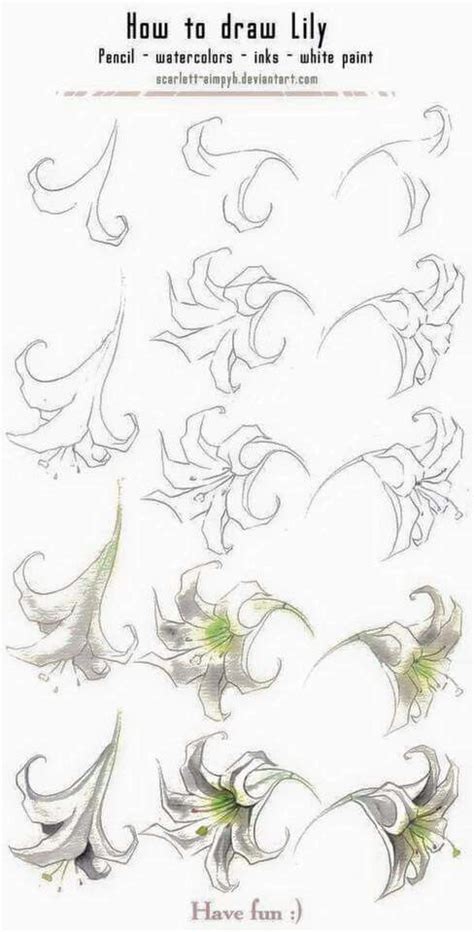 Pin On Dibujos Flower Drawing Tutorials Flower Drawing Art Drawings