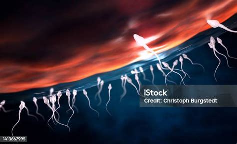 많은 정자 세포 약간 투명하고 과학적으로 올바른 파란색 배경에서 접합체쪽으로 앞으로 나아가는 것 3d 그림 정자에 대한 스톡 사진 및 기타 이미지 Istock