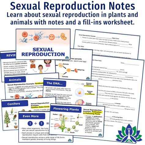 Asexual And Sexual Reproduction Notes And Quiz Flying Colors Science