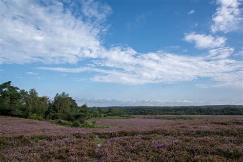 Clouds Over The Heather Ashurst New Forest Derek Morgan Photos