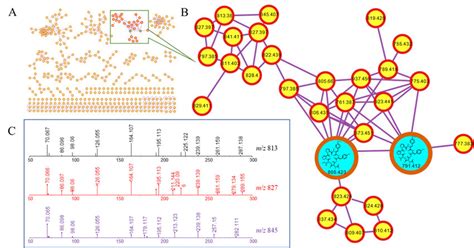 molecular networking based prioritization of the etoac extract of