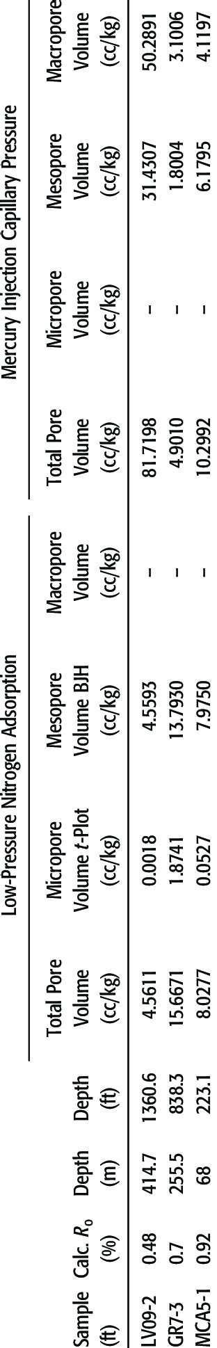 Pore Volume And Pore Size Distributions From Low Pressure Nitrogen