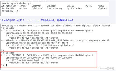 【docker网络docker network】 docker 设置network csdn博客