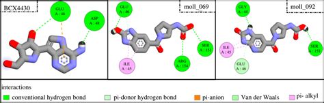 Three Dimensional Representation Of Binding Modes For The Best Two Download Scientific Diagram