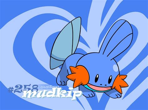 Shiny Mudkip Wallpapers Top Free Shiny Mudkip Backgrounds Wallpaperaccess