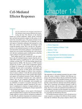 Cell Mediated Effector Responses