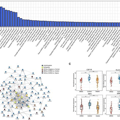 Function Analysis And Protein Protein Interaction Ppi Network Of