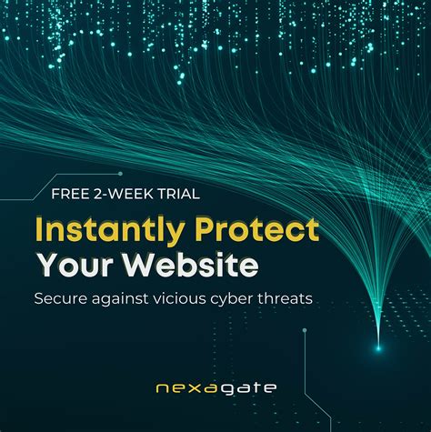 Protect Your Website From Critical Security Risks With Owasp Top10 And Nexagates Managed Web Security