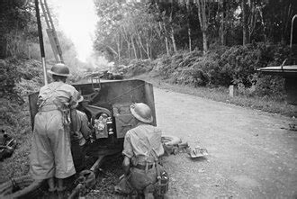 Jungle Warfare Wikipedia