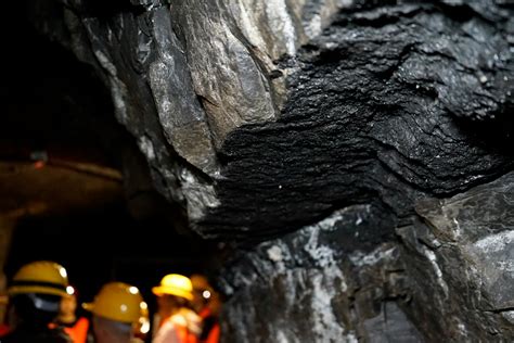 ¿qué Estados Tienen Tierras Raras En México Líder Empresarial