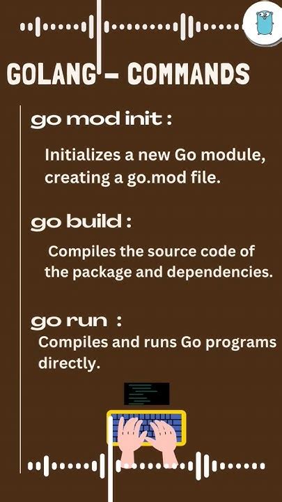 golang basic commands interview qanda developer interview golang