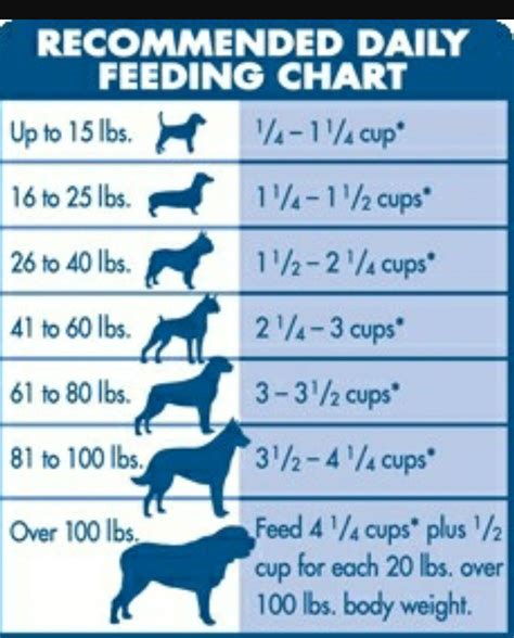 Free Printable Dog Feeding Chart
