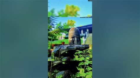 Siva Lingam Neelagandan Sivan Whatsapp Status 15 12 2022 Video 83 Youtube