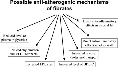 Is There A Role For Fibrates In The Management Of Dyslipidemia In The