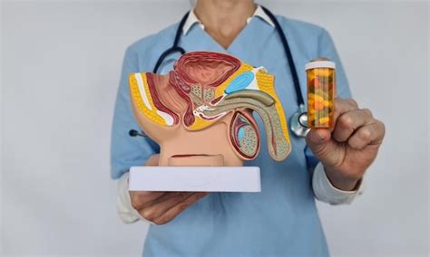 Premium Photo Doctor Diagnoses Male Erectile Dysfunction And Gives