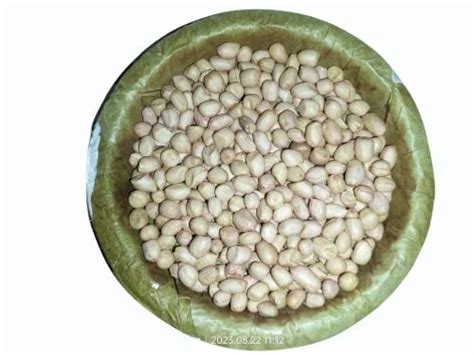 Groundnut Packaging Size 50kg At ₹ 95kg In Balasore Id 2851272248373