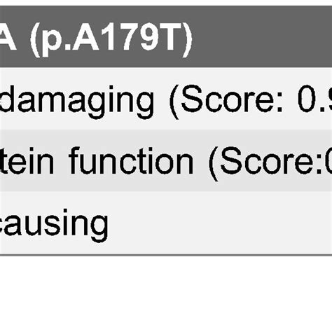 Functional Prediction For The Tmprss3 Missense Mutation C 535g A