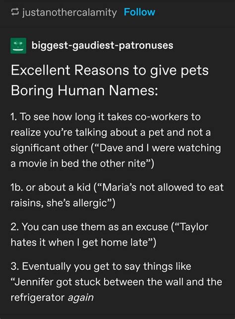 Human Names Scrolller