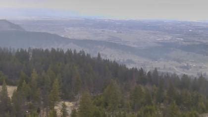 Webcam Kalispell Flathead County Montana Usa Forest Panorama From