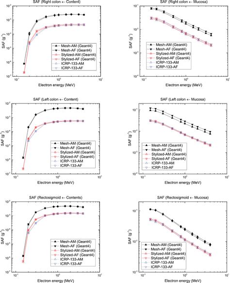 Specific Absorbed Fractions Safs To The Large Intestine For Electron