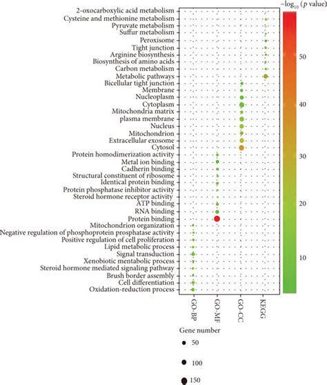 Enrichment Analysis Of Common Differentially Expressed Genes A The