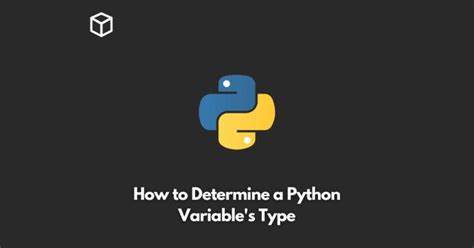 How To Determine A Python Variable S Type Programming Cube