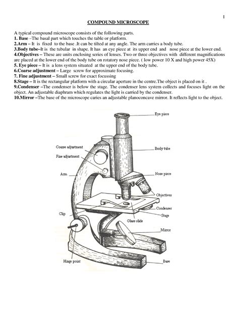 Compound Microscope Image Nature At Caitlyn Lavater Blog