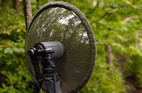 Parabolic Microphone: What It is & How It Works?