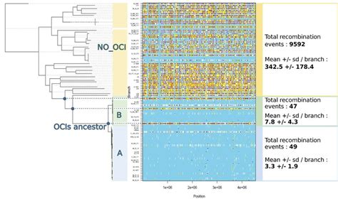 A Limited Number Of Recombination Events Occurred In Oyster Clinical Download Scientific