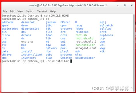 Oracle12c到19c Adg搭建（三）oracle19c数据库软件安装v982063 01 Csdn博客